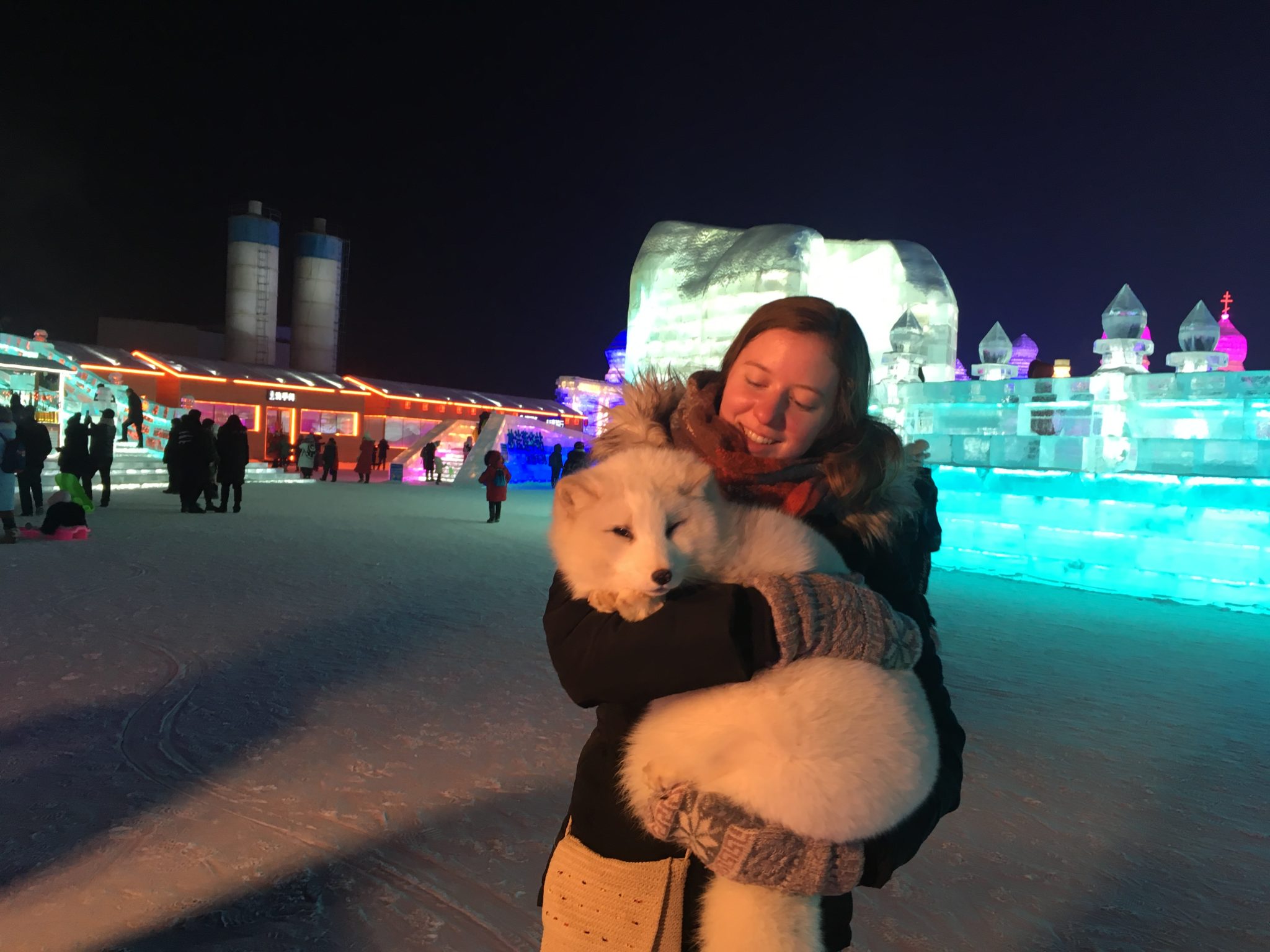 5 minutes with our new Vendor Controller | Andiamo! The Language ...